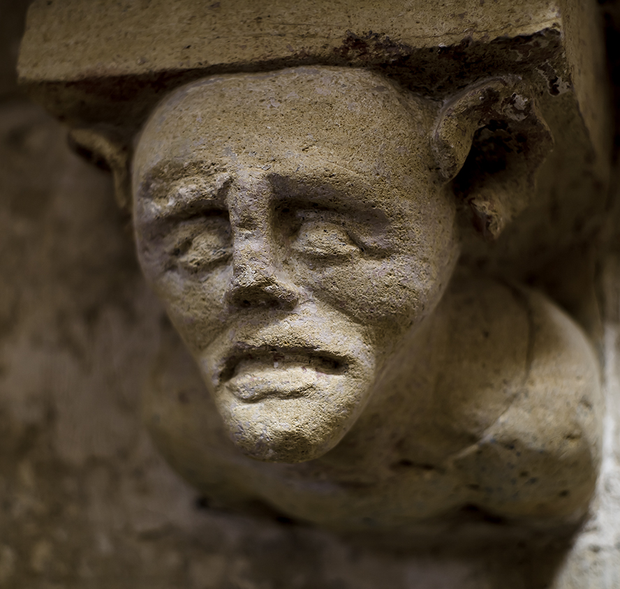 'monster' by Philip BERNARD - Photography from France